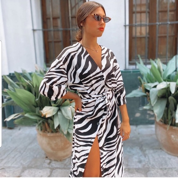 Zara | Dresses | Gorgeous Zara Nwt Animal Zebra Print Dress | Poshmark